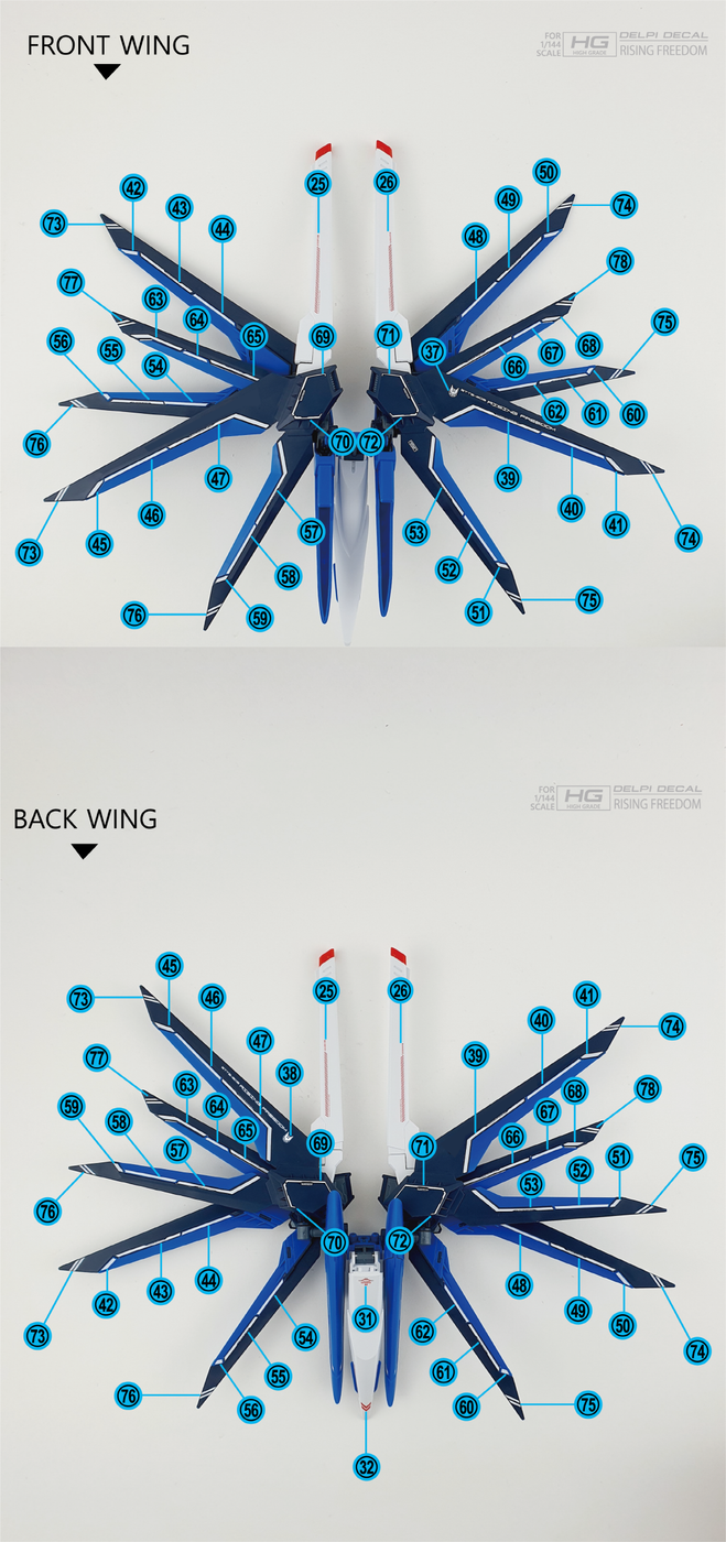 HG RISING FREEDOM WATER DECAL — Ani Mecha